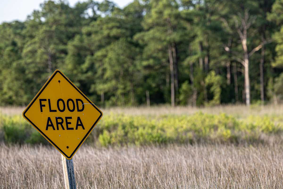 What is Flood Zone AO?