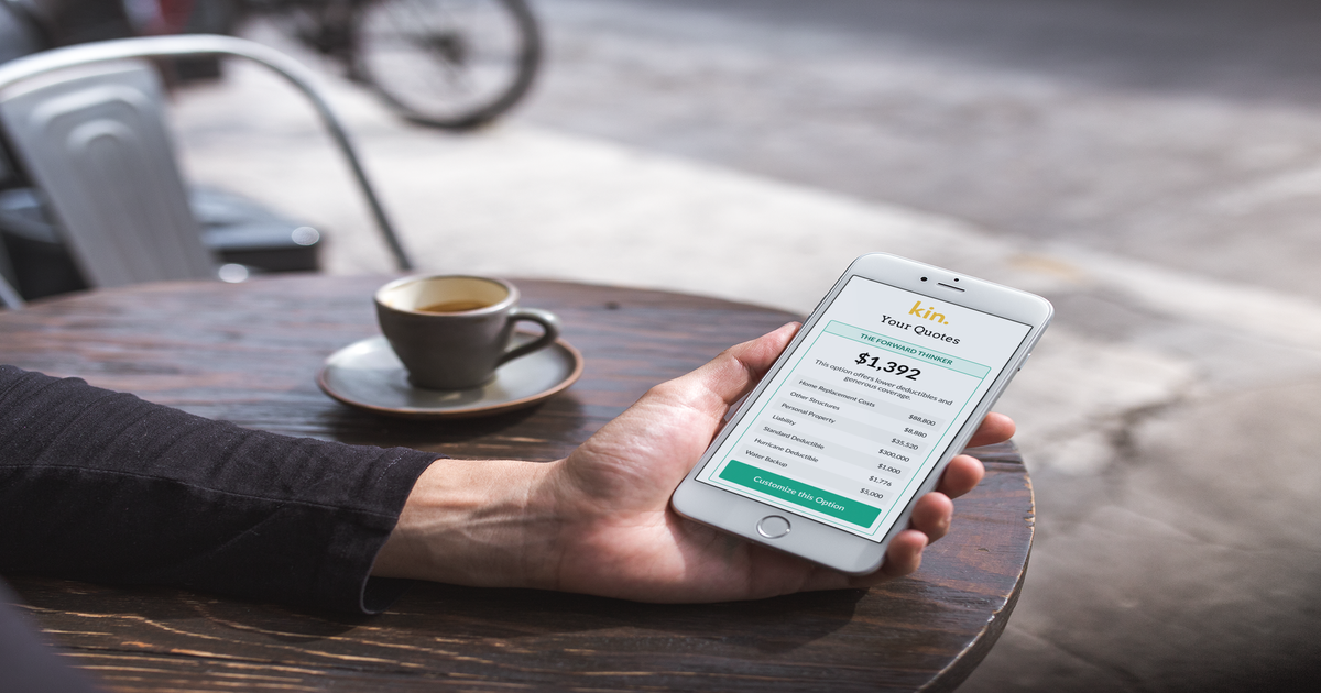 Kin Insurance reviews