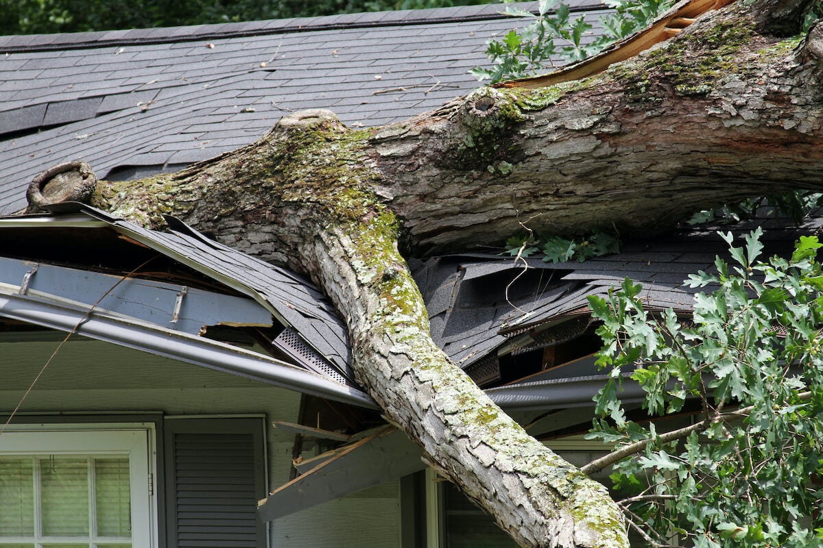 7 most common homeowners insurance claims